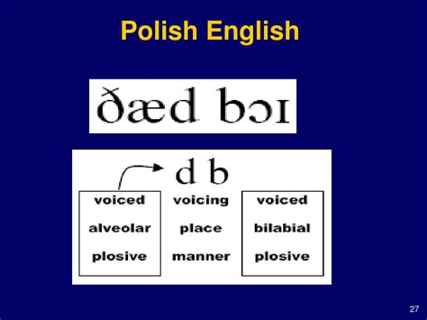 Ppt Descriptive Grammar Of English Part 1 Phonetics And Phonology