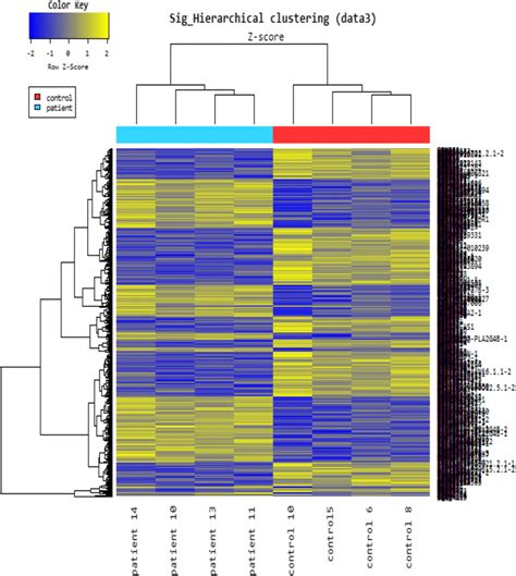 Heat Map Of Hierarchical Clustering On Distance Similarity For Samples
