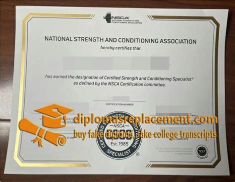 Ppt How To Order Cscs Nsca Certificate Online Powerpoint Presentation Id 13245852