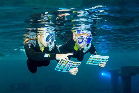 Todi The Ultimate Diving Experience In Belgium Discover Benelux