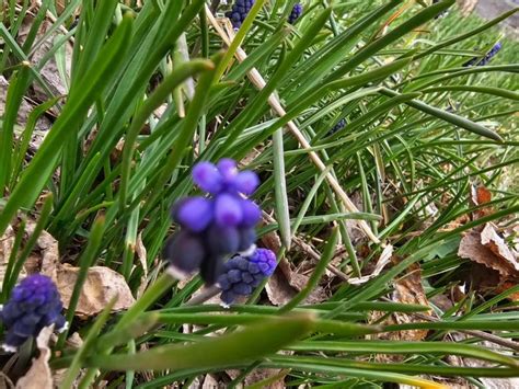 Mari Dalijunts On Linkedin Endofaweek