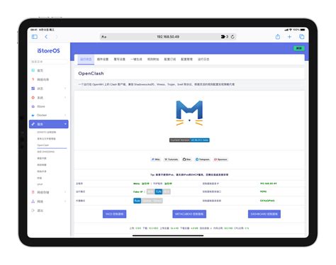 Github Rabbit Specclash Clash自用配置文件