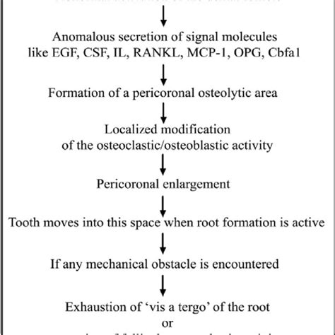 Mupparapus Classification Of Transmigrated Mandibular Canines 22