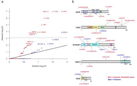 Recurrent De Novo Mutations Implicate Novel Genes Underlying Simplex Autism Risk PMC