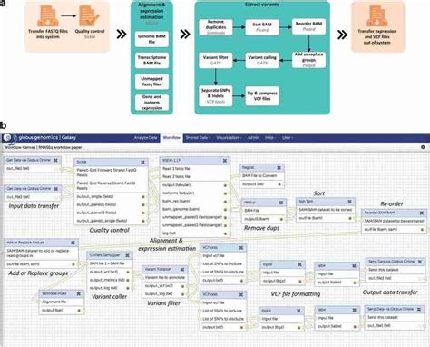 A Schematic Diagram Of The Whole Transcriptome RNA Seq Analysis Download Scientific Diagram