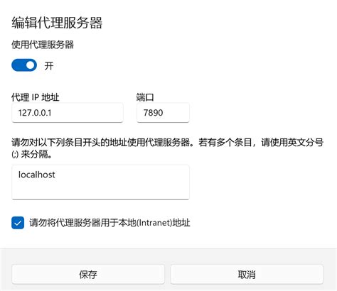 深入探究 Windows 系统代理设置