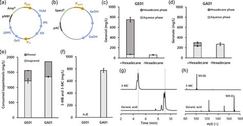 Biosynthesis Of Geranate Via Isopentenol Utilization Pathway In