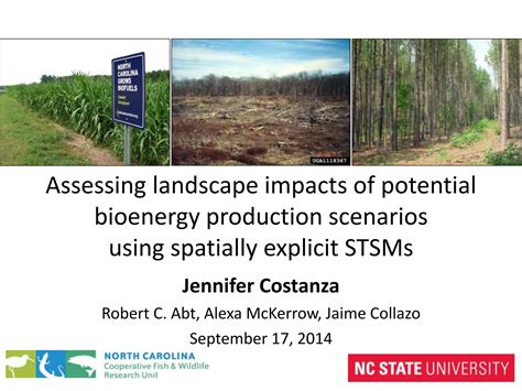 Landscape Impacts Of Bioenergy Production Using State And Transition