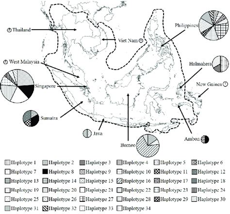 Sample Geographic Origins Distribution Of The Reticulated Python Download Scientific Diagram