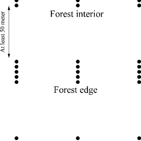 Layout Of Pitfall Traps Along The Transects Download Scientific Diagram