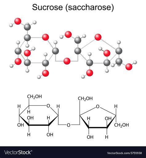 Sucrose Formula