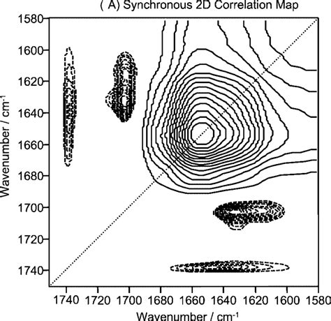 A Synchronous 2d Ir Correlation Spectrum In The 1750 1580 Cm −1