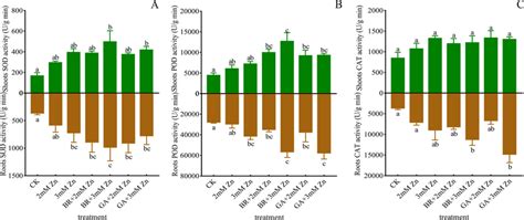 Effects Of Zn Stress Br And Ga Application On Antioxidant Enzyme Download Scientific Diagram