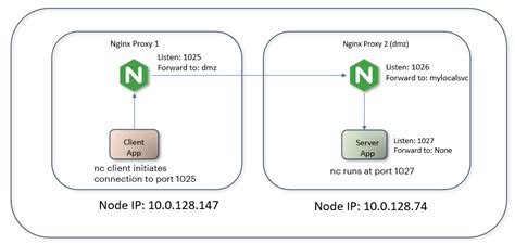Enhancing Client Server Connectivity With Dual Nginx Reverse Proxies By Kamal Maiti Nov