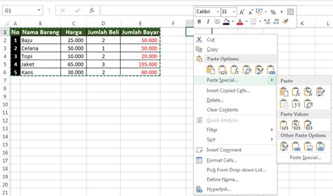 Jenis Paste Pada Aplikasi Excel