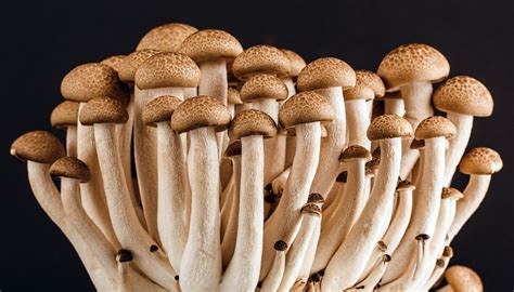 Autogrowallfiles In Sql Server 2016 Sql Selectde