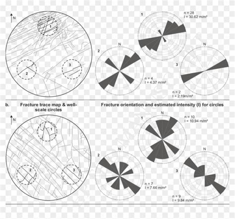 Fracture Trace Map For Two Circular Scanlines With Plot Fracture