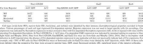 Table 1 From Distinct Cell Types In The Superficial Superior Colliculus