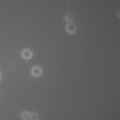 Bead Detection 1 Object Detection Dataset And Pre Trained Model By Vicente Workspace