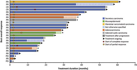 Treatment Duration A Swimmer Plot Of The Treatment Duration In