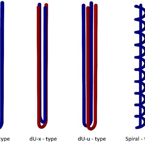 Verification Of The Numerical Calculation Algorithm Download Scientific Diagram