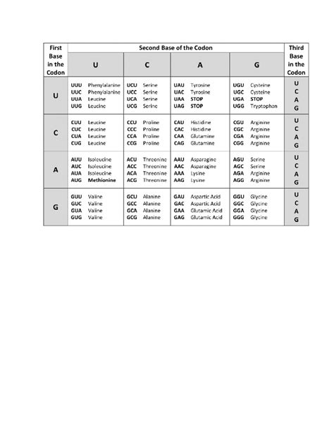 Genetic Code Chart Biochemistry Studocu