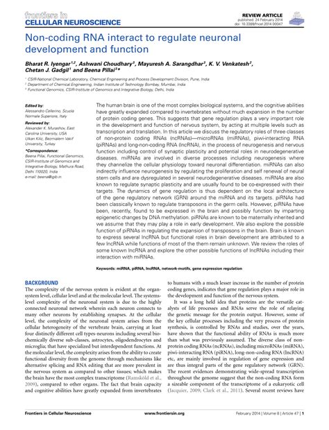 PDF Non Coding RNA Interact To Regulate Neuronal Development And Function
