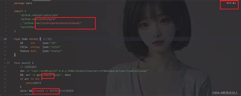 Go编译器启用mod，go项目导入包报错找不到包，运行通过go Mod 找不到包 Csdn博客