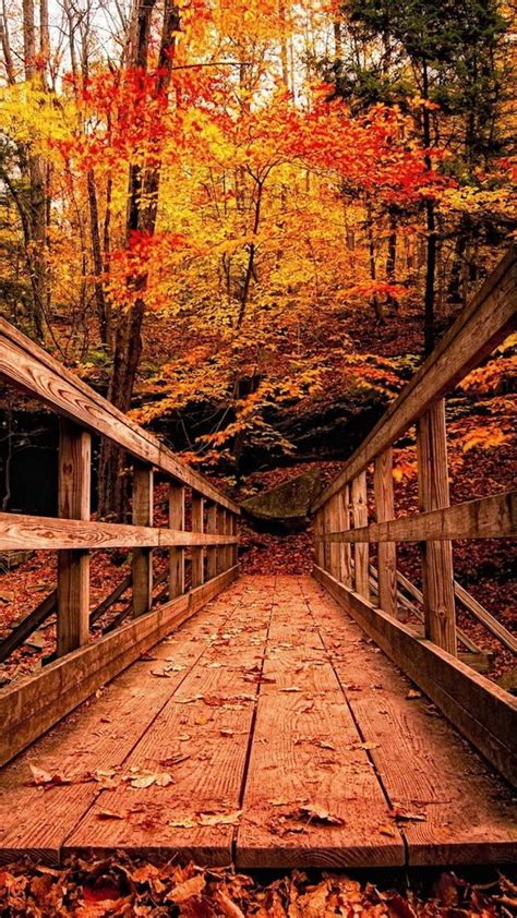[100 ] Hd Autumn Wallpapers