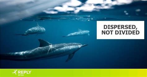 Prerna Makharia On Linkedin Retail Reply