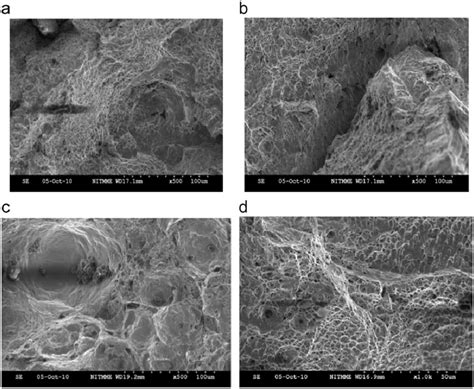 A D Sem Fracture Surface Of The Tensile Tested Specimens A 50 He þ Download Scientific