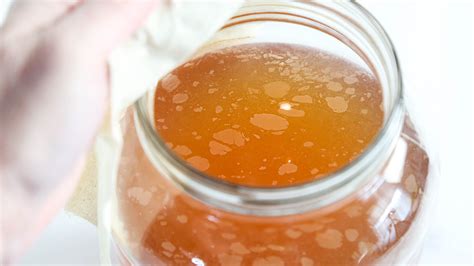 How To Grow A Scoby Kombucha Mother At Home