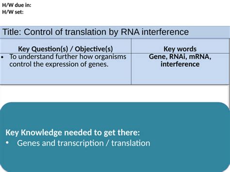 Aqa A Level Biology 38 The Control Of Gene Expression 3 Reg Of