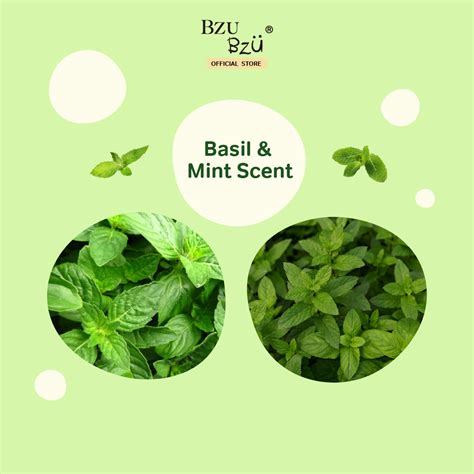 Bzu Bzu Mosquito Repellent Spray 80ml Bzu Bzu Singapore