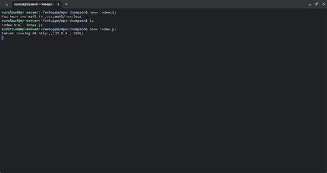 How To Install And Run Nodejs Runcloud Docs