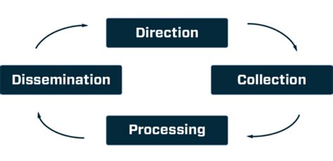 The Intelligence Cycle Risk Xtra