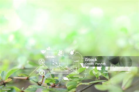 흐릿한 자연 배경 환경 및 생태학 개념에 지속 가능한 에너지 및 스마트 기술 아이콘 Ai 미래 지향적 스마트 가상 화면 사물 인터넷 소셜 미디어 빅 데이터 메타버스 0명에