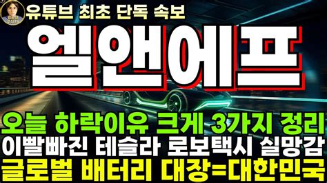 엘앤에프 주가전망 단독 오늘 하락이유 크게 3가지 정리 이빨빠진 테슬라 로보택시 전기차 화재 프랑스 4명 사망 트럼프