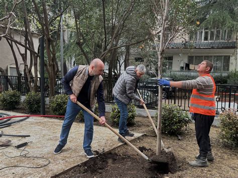 აკაკი ალადაშვილი Akaki Aladashvili ♻️ დედაქალაქის გამწვანებას განსაკუთრებული მნიშვნელობა
