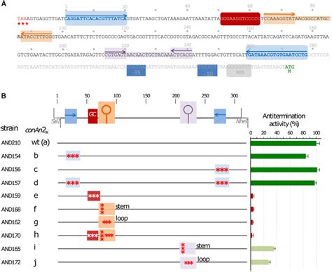 Features Within Conan2 Crucial For Antitermination A Sequence Of The