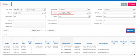 How To Generate The DSR Report Fresa Blogs