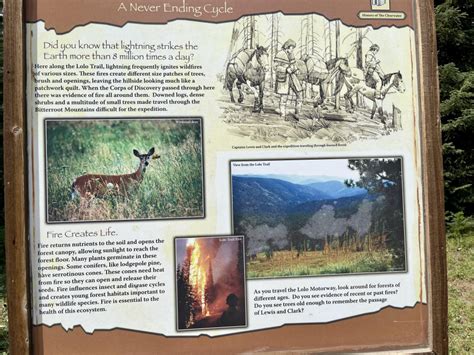 Uncovering Lolo Wood S Height The Truth Revealed Animascorp