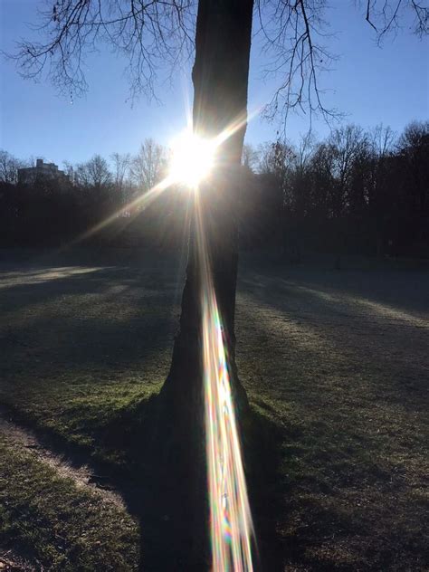 Rubem Didini On Linkedin Exploring The Synchronicity Between Deep