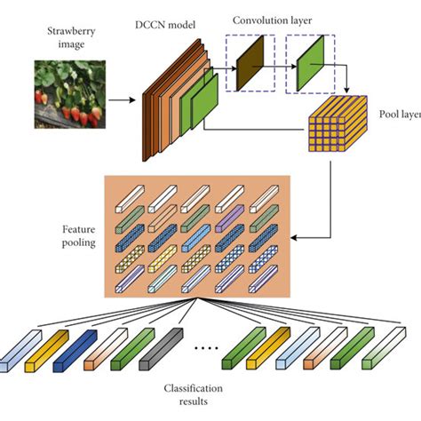 Model Structure Of Deep Convolution Neural Network Download Scientific Diagram
