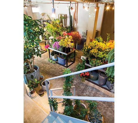 姫路・加古川周辺のおしゃれな花屋さん7選！プレゼントに喜ばれること間違いなし！｜兵庫県はりまエリア姫路・加古川などの地域情報サイト