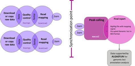 workflow of the automatic pipeline for the analysis of chip seq data in