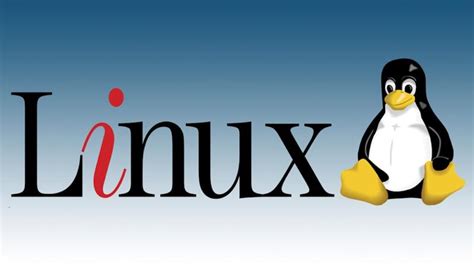 deepika kumari on linkedin day4 basic linux shell scripting for devops