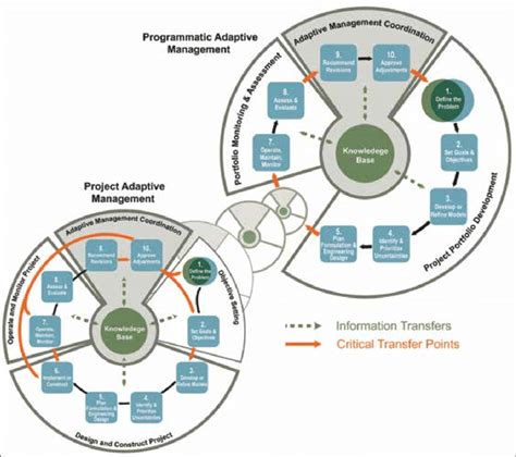 The 10 Steps For Adaptive Management To Implement Project And Download Scientific Diagram