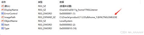 oracleoradb11g home1tnslistener 无法启动 csdn博客
