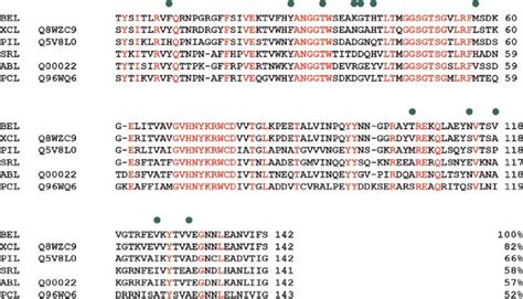Sequence Comparison Of Fungal Lectins The Sequences Were Aligned Using Download Scientific